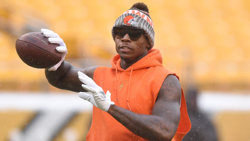 What's Fun About Rooting Against Josh Gordon To Succeed With Patriots ...