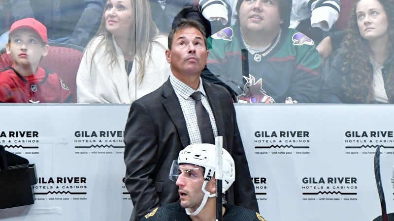 Bruins' Bruce Cassidy Addresses Don Cherry's Comments, Sportsnet Firing ...