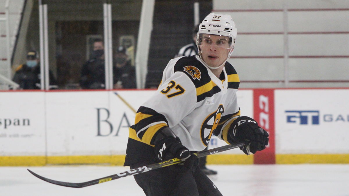Does Brady Lyle Like To Talk Trash? Bruins Prospect Weighs In