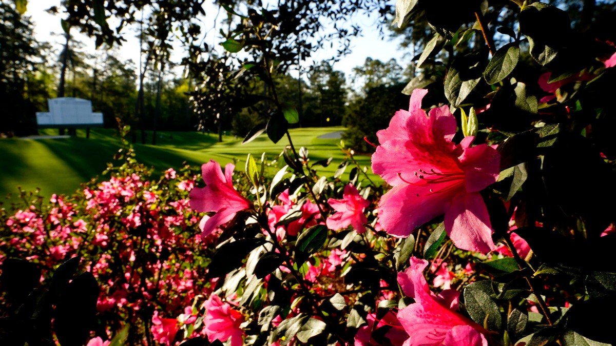 Caroline Wozniacki Caddies for, Kisses Boyfriend Rory McIlroy During ...
