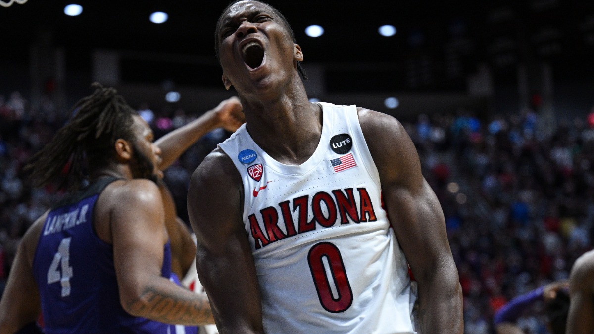 Greg Oden's Injury Another in Long Line of Blazer Frustrations - NESN.com