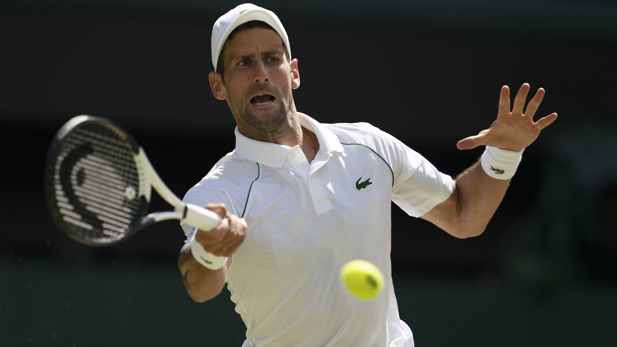 Jelena Ristic Steals the Spotlight From Boyfriend Novak Djokovic ...