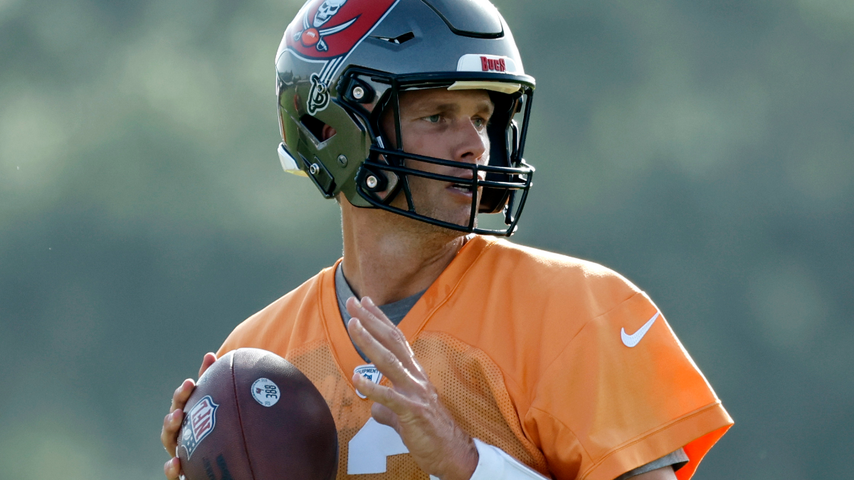 Tom Brady, Logan Mankins Praise Ndamukong Suh, Nick Fairley As Patriots Prepare for Lions - NESN.com