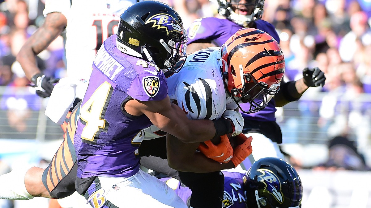 Ray Rice's Suspension Honored By CFL; NFL Teams Reportedly Can't ...