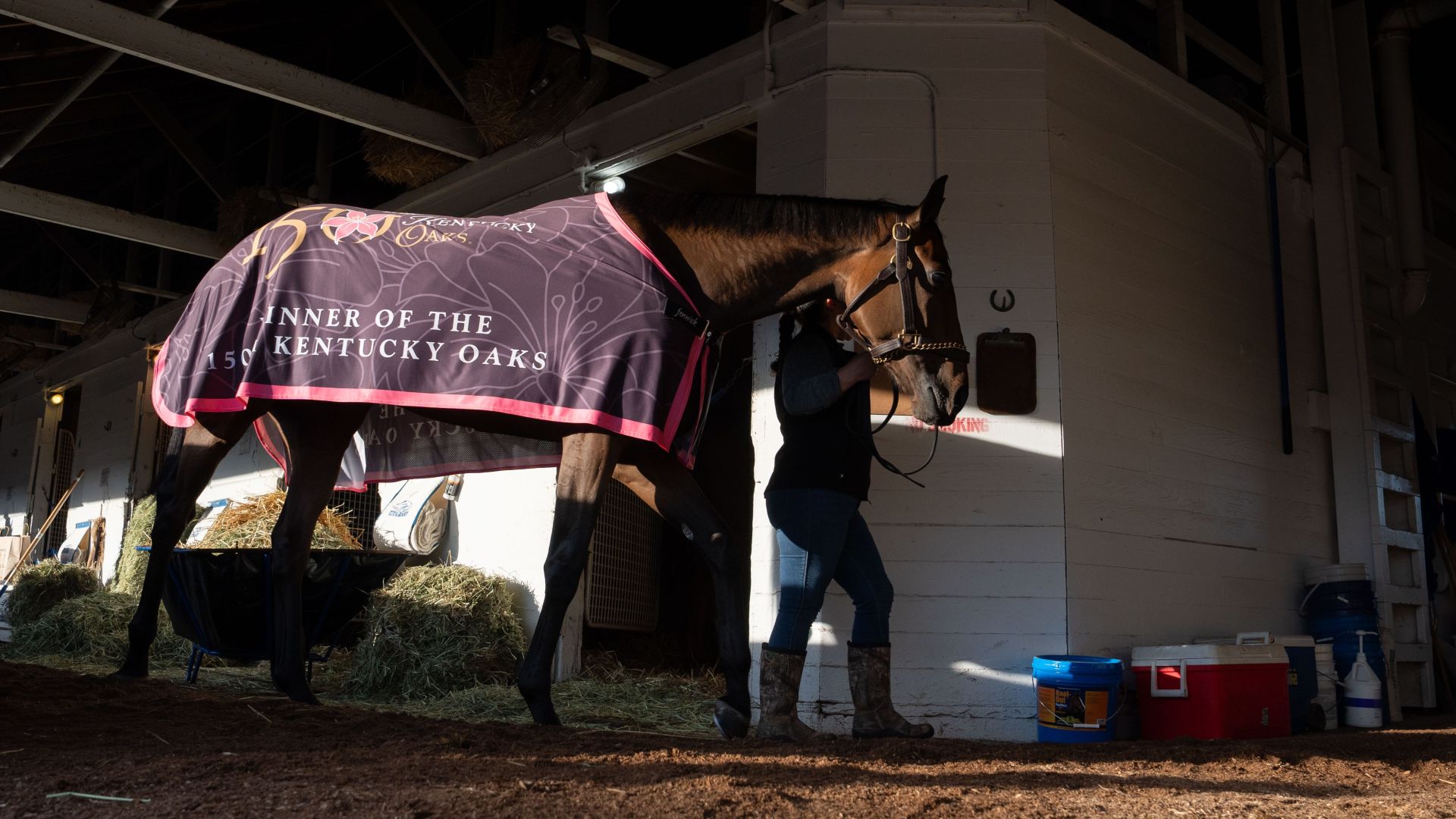 Why You Should Care About This Huge Storyline At Travers Stakes